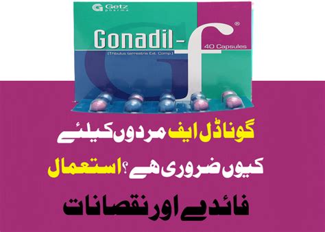 Gonadil F Uses In Urdu For Male گوناڈل ایف Benefits Side Effects
