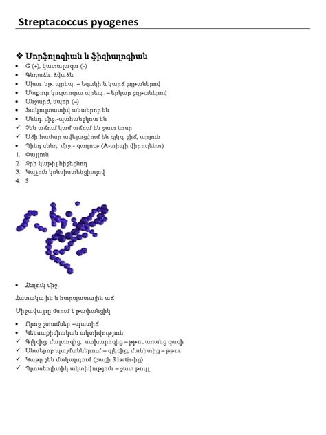 Strep Pyogenes 2 Pdf