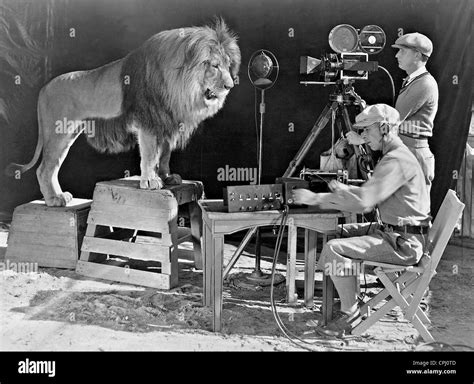 Is The Mgm Lion Roar Real At Beth Anker Blog
