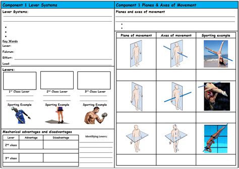 Gcse Pe Edexcel 9 1 Complete Component 1 Knowledge Retrieval Revision Mats Updated