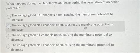 Solved What Happens During The Depolarization Phase During