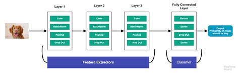 Dog Vs Cat Classification Using Cnn Kaggle