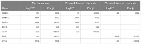 Frontiers Osteocytes Contribute To Sex Specific Differences In