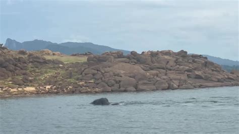 Video Thamali Abeyratne On Linkedin Visitsrilanka