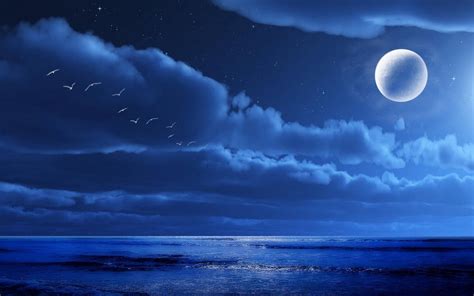 Midnight Hd Wallpapers Wallpaper Cave