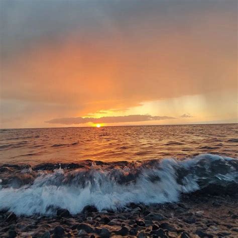 В Казахстане могут прекратить выдачу разрешений на отстрел сайгаков Kazakhstan Today