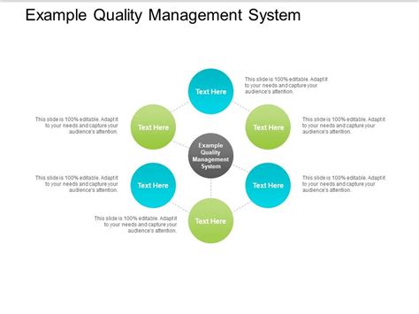 Example Quality Management System Ppt Powerpoint Presentation File Gallery Cpb PowerPoint