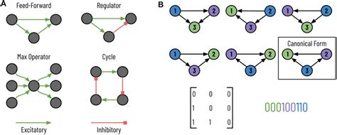 Motifs In The Wiring Diagram A These Four Subgraphs That Appear In Download Scientific