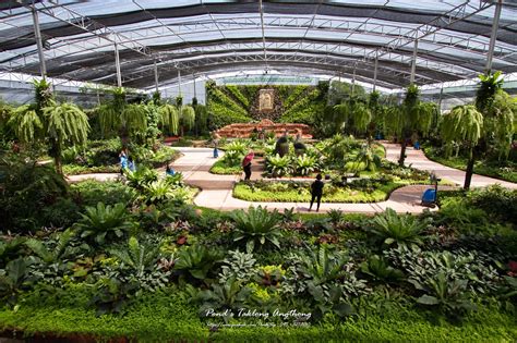 อุทยานสวรรค์อ่างทองหนองเจ็ดเส้น อุทยานแห่งความจงรักภักดี จังหวัดอ่างทอง