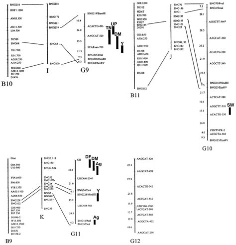 Qtl Plots For The 14 Agronomic Traits In Common Bean And The Alignment