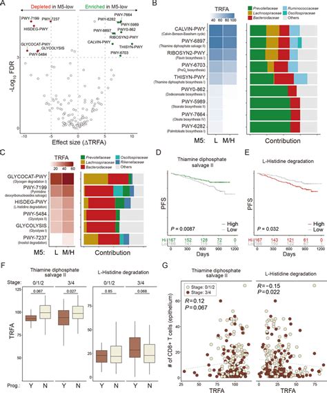 Metagenome Inference Of Microbial Pathways A Screening Download