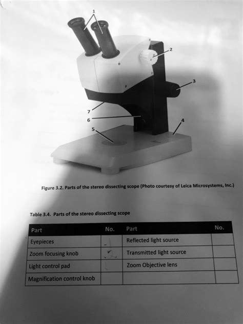 Solved Figure 32 Pans The Stereo Dissecting Scope Photo Courtesy Of