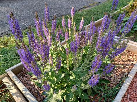 Huiming Huang On Linkedin Happy Wednesday 😁