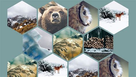 20 css hexagons