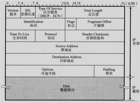 Ipv4协议详解：报头结构、困境与nat机制 Csdn博客