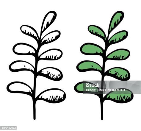 녹색 잎이있는 가지 색칠하기 위한 그림입니다 스케치 스타일로 그려진 나뭇가지 벡터 클립 아트 계절에 대한 스톡 벡터 아트 및 기타 이미지 Istock