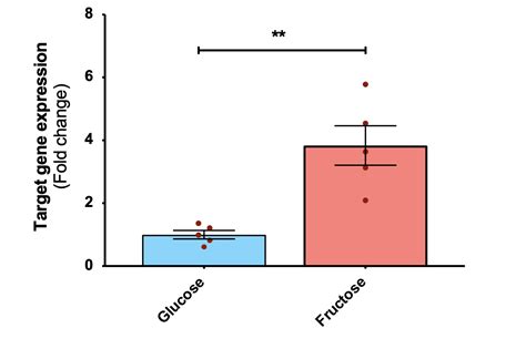 Solved Use The Fold Change Values To Plot GraphsYou Can Chegg Com