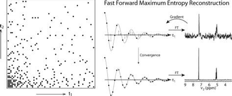 Reconstruction Entropy Definition DeepAI