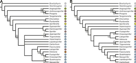 Results From The Equally Weighted Analyses Using Gap Weighted Download Scientific Diagram