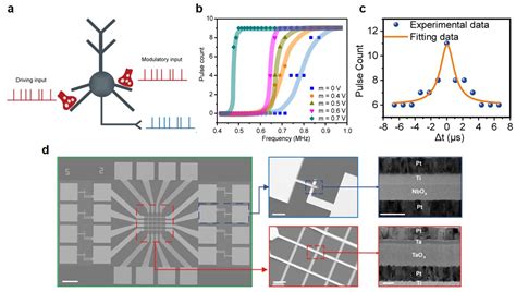 spiking neurons with nonlinear dynamics for fully memristive neural
