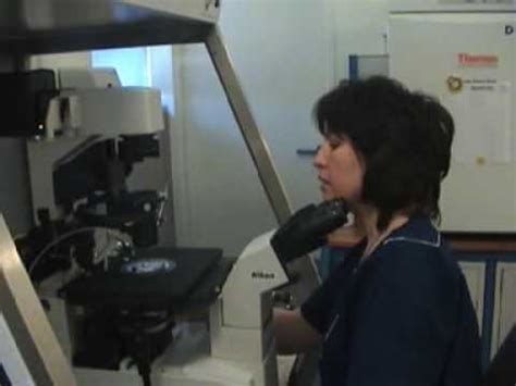 ICSI PROCEDURE YouTube