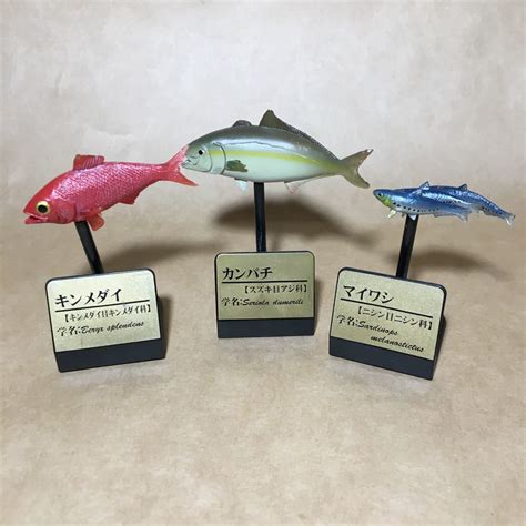 Yahooオークション 6体セット 原色海水魚図鑑 クロマグロ カンパチ