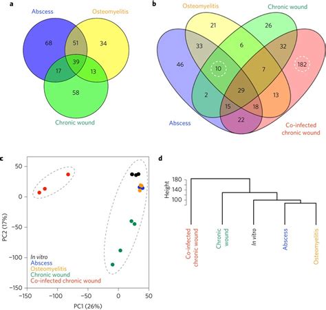 Co Infecting Microbes Impact Pathogen Gene Essentiality During