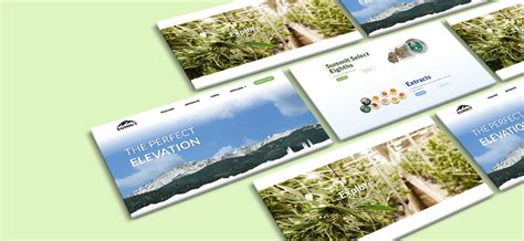 2023 Web Design Best Practices Designity