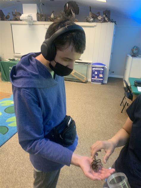 Virginia Strobach Vstrobach Twitter