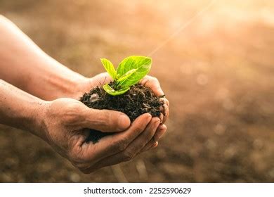 Thousand Fertile Living Soil Royalty Free Images Stock Photos Pictures Shutterstock