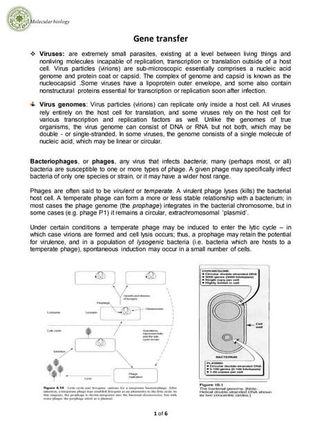 Plasmids And Types Pptx Genetics Science