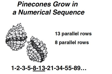 Using Fibonacci Levels To Time Retracements