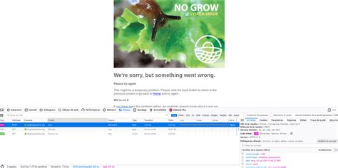 Error 500 When Trying To Empty My Cart When Shopping At Marys · Issue