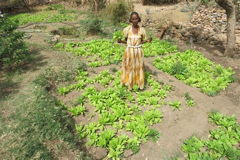 Eritrea The Foot Pump That Changed The Lives Of Letina And Her Family ICRC