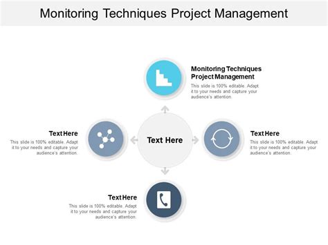 Monitoring Techniques Project Management Ppt Powerpoint Presentation Show Rules Cpb Pdf
