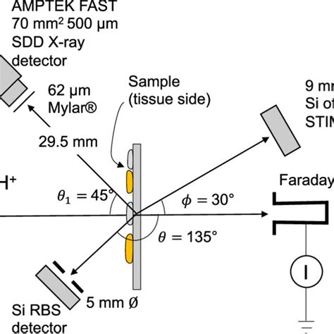 Schematic Illustration Of The Microprobe Setup At The Louisiana Download Scientific Diagram