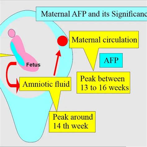 Autoimmune Encephalitis Panel Csf Test Cost In Delhi Gdic