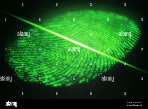 D Illustration Fingerprint Scanning Identification System Fingerprint Scan Provides Security