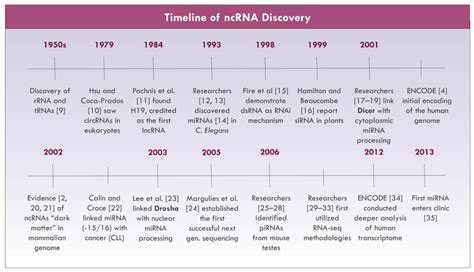 Non Coding Rna Ncrna Research Milestones Download Scientific Diagram