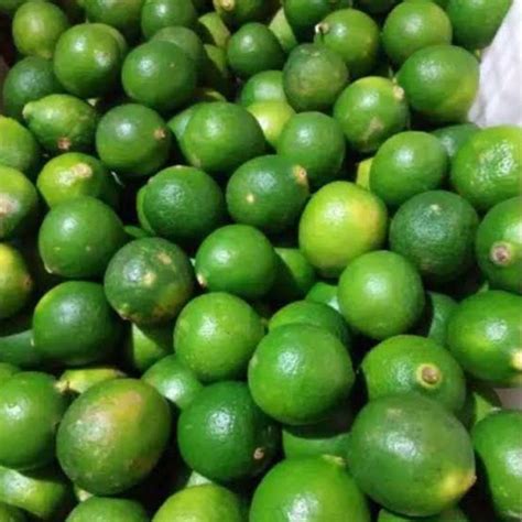 Jual Jeruk Nipis Shopee Indonesia Jual Jeruk Nipis Shopee Indonesia