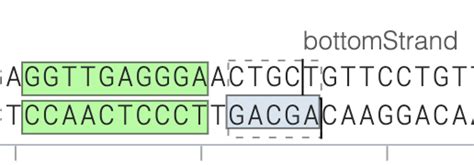 bugs · issue 154 · lattice automation seqviz · github