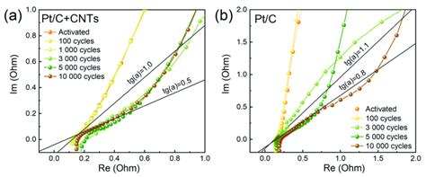 Evolution In The Shape Of The High Frequency Section Of Eis During Download Scientific Diagram
