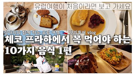 강아지랑 유럽여행 먹방투어 1 프라하에서 꼭 먹어야 하는 음식 체코 프라하 여행 브이로그 Prague Food Tour Youtube