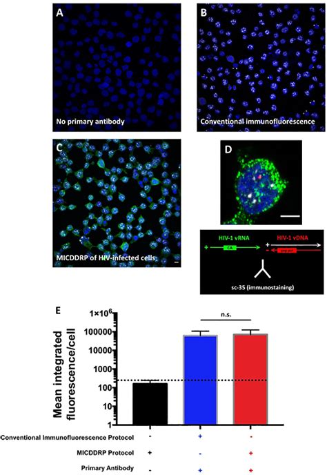 Figure 1 From Single Cell Multiplexed Fluorescence Imaging To Visualize
