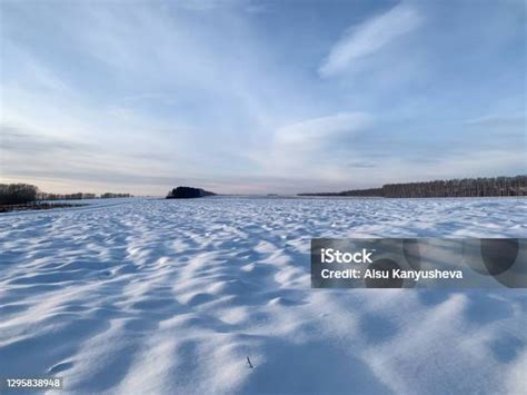 푸른 하늘 아래 깃털 구름이 있는 눈 덮인 들판 배경에 나무가있는 눈 릴리프 표면과 푸른 색조의 겨울 풍경 0명에 대한 스톡 사진 및 기타 이미지 Istock