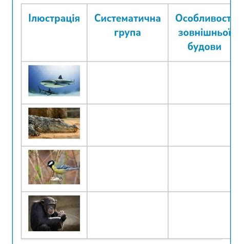 Тварини на фото Заповніть таблицю вказавши систематичну групу особливості зовнішньої та