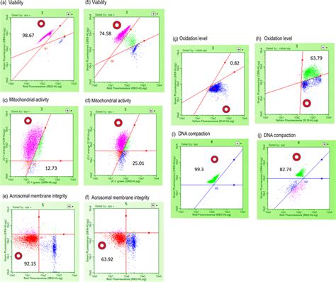 Microscopic Images And Flow Cytometric Plots Of Small Abalone Haliotis Download Scientific