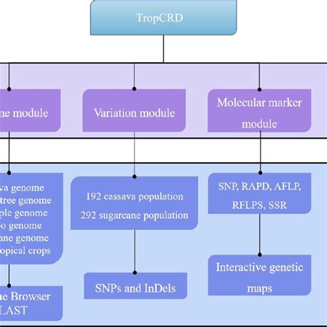 Main Data Modules Of Tropical Crop Database Download Scientific Diagram