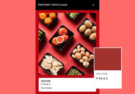 Pantone® Usa Pantone Connect