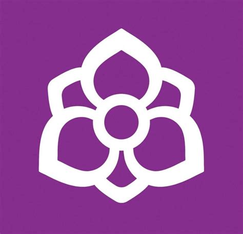 Цахилдаг эмийн сан